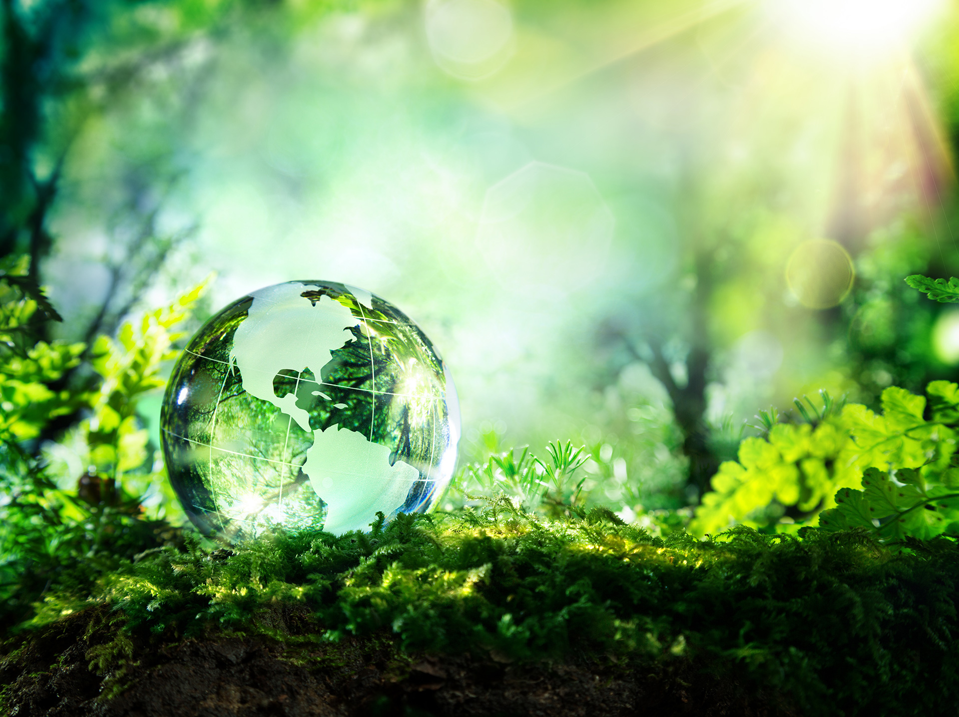 Environmental attitudes: 3 ways changing consumer perceptions are ...